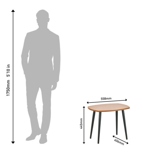Rec Walnut Engineered Wood Side Table - Featherlite Furniture